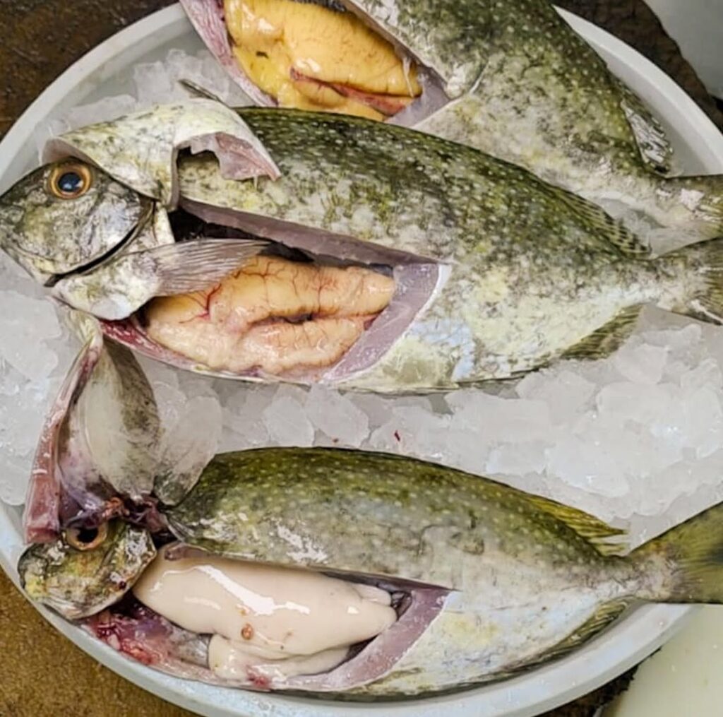 Rainy Weather Affects Supply of Rabbit Fish for CNY Day 1 & 2 - Goody Feed