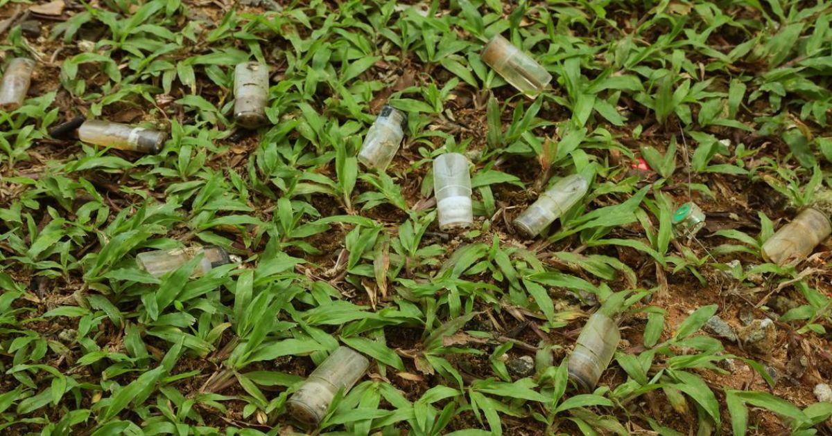 25 E Cigarette Cartridges Found Outside Sengkang Green Primary School 6327