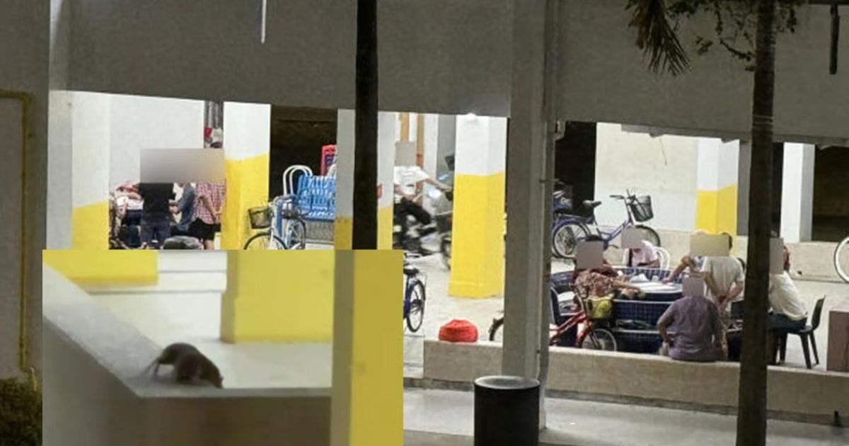 Gambling Gatherings Cause Massive Rat Infestation at Aljunied HDB Block ...