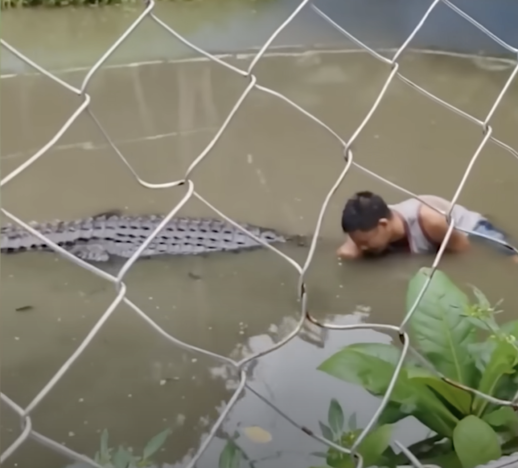 Filipino Tourist Bitten After Mistaking 4.5-Metre Crocodile for Statue ...