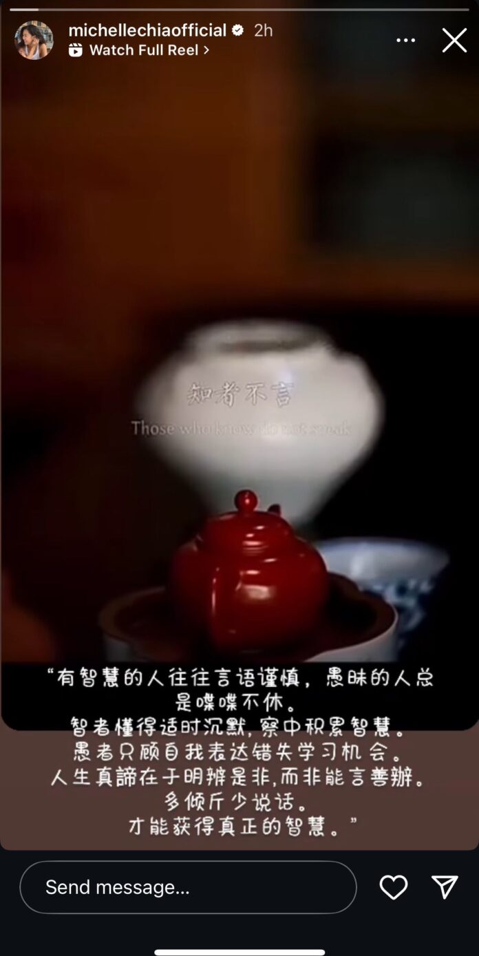 Addy Lee Turns His Attention to Michelle Chia, Accusing Her of a Few Things - Goody Feed