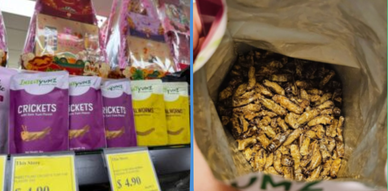 People in S'pore Are Buying Cricket Snacks, With 500 Packs Sold in 5 ...