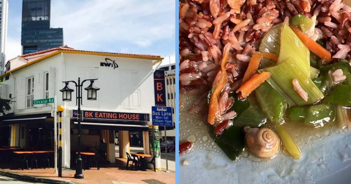 Singapore Man Finds Snail in $6.50 Economy Rice Meal at BK Eating House ...